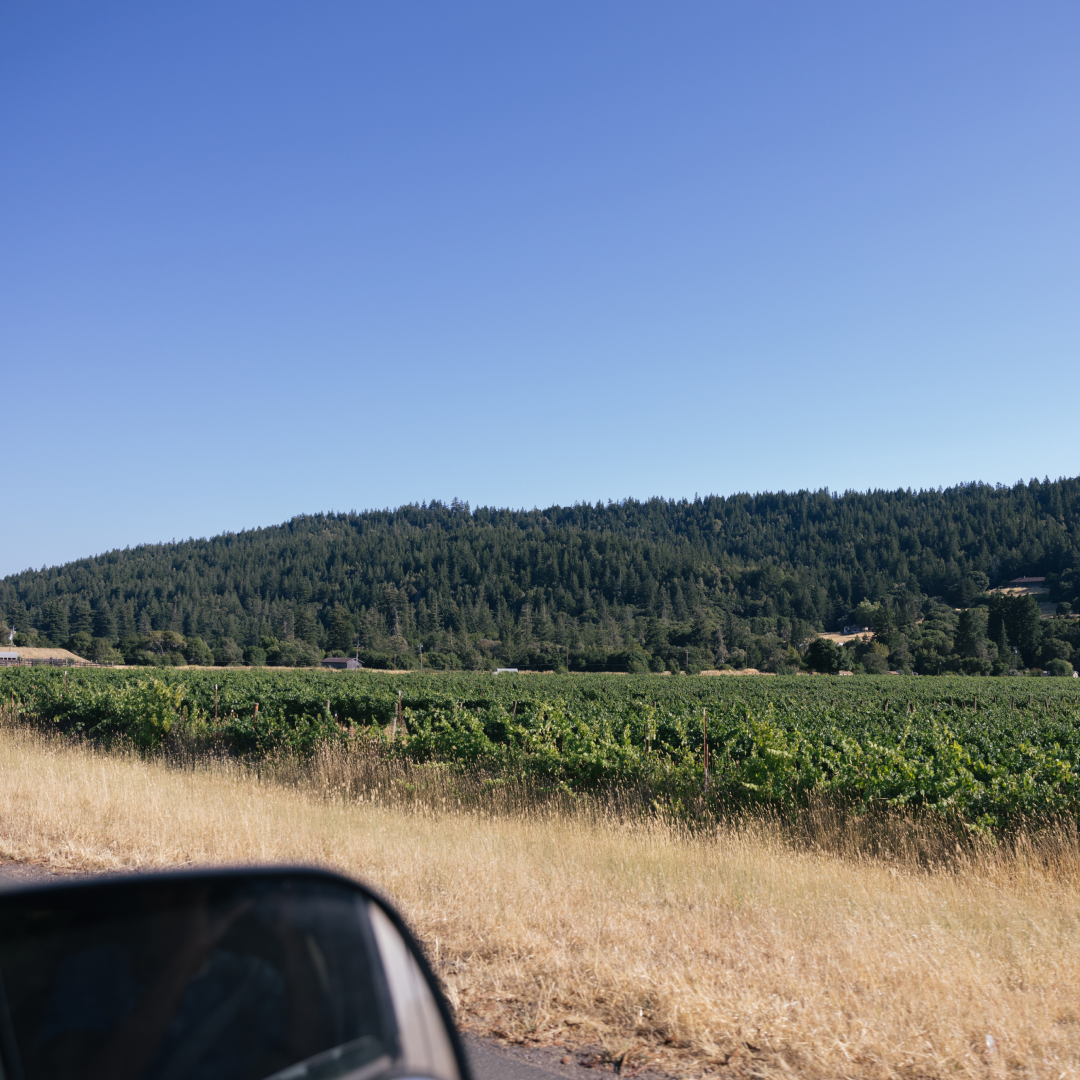 Escape to Anderson Valley with Kevin O'Connor – ETO