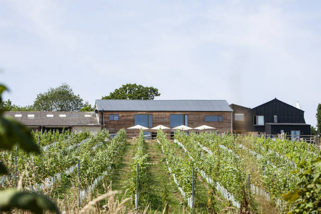 How English winemakers are embracing their freedom – ETO