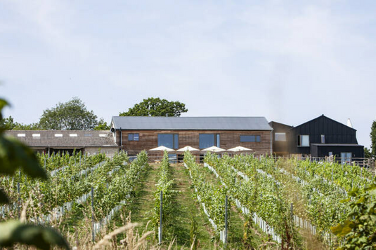 How English winemakers are embracing their freedom – ETO